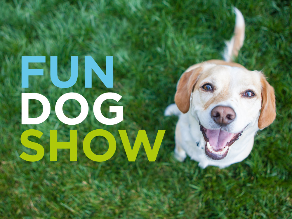 Family Fun Day Dog Show Friends Of Conway Park Family Fun Day Dog Show Friends Of Conway Park
